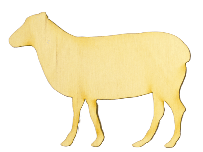 Sheep - Kemp Enterprises